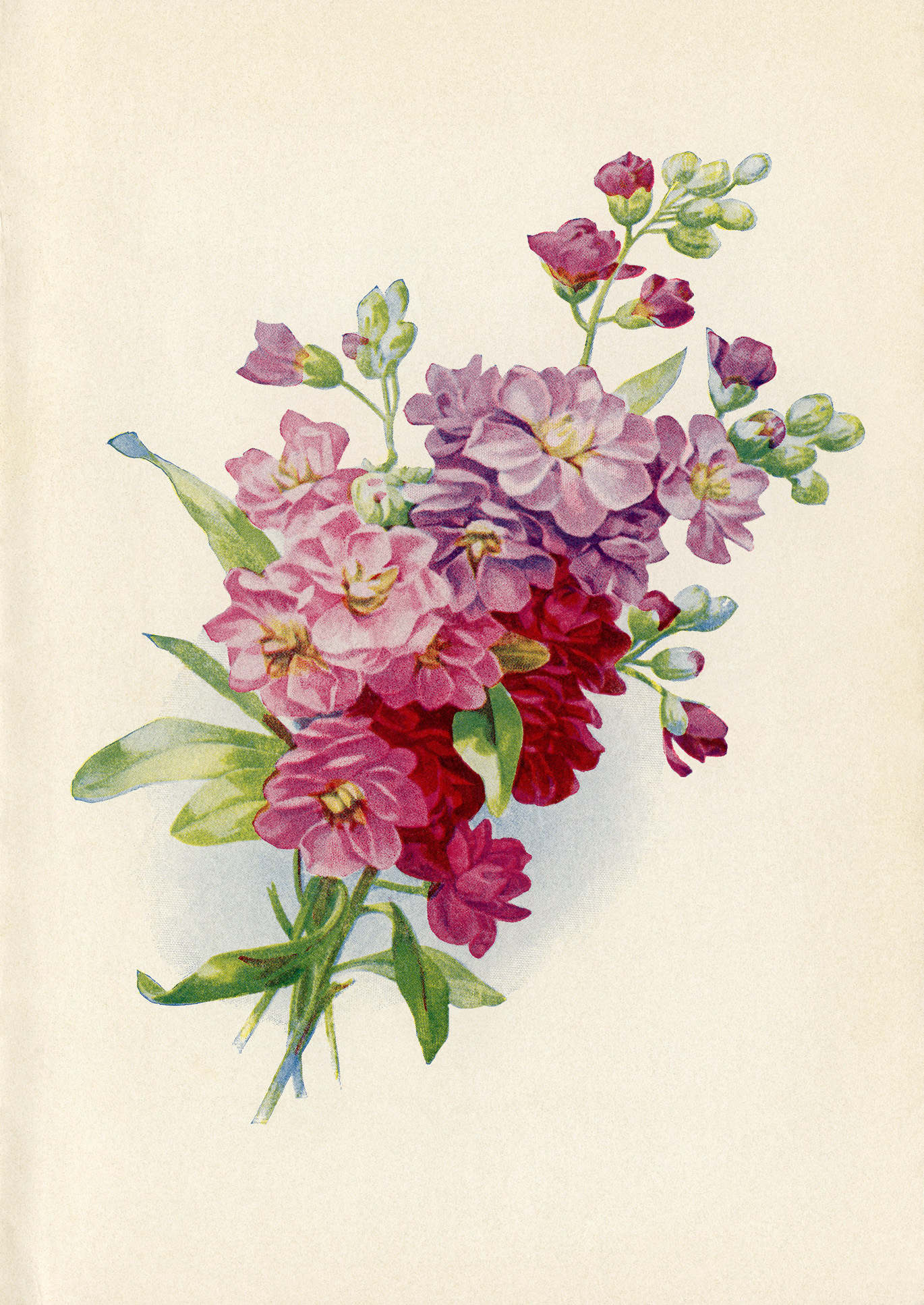 Floral Cluster - Old Design Shop Blog